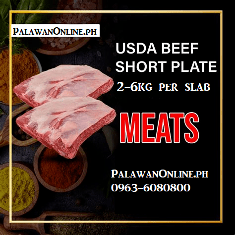 BEEF SHORT PLATE 1 KG - slabs of 4-8kg – PalawanOnline.ph
